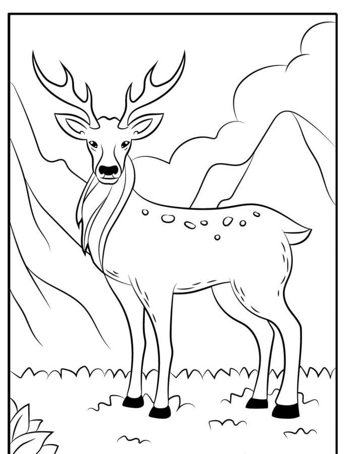 Disegni di Cervo da colorare - Disegni-Colorare.Com