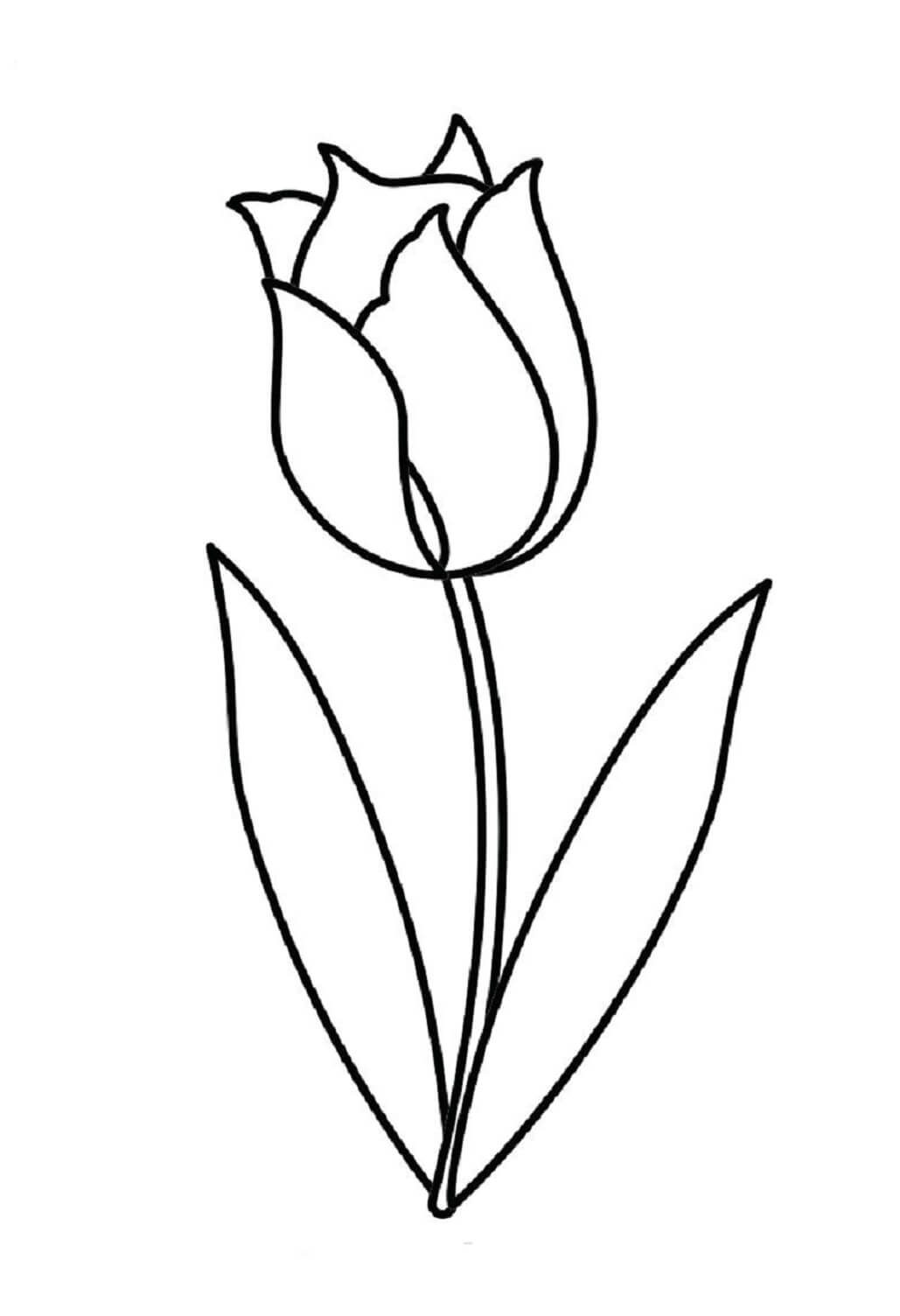Tulipani Gratis Da Colorare Scarica Stampa O Colora Subito Online Tulipani Gratis Da Colorare Scarica Stampa O Colora Subito Online
