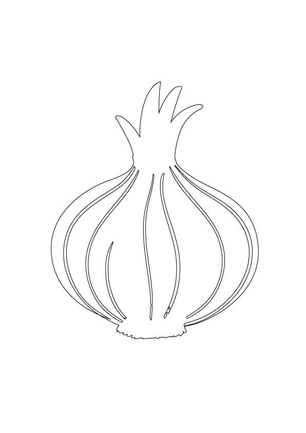 Disegni di Cipolle da colorare - Disegni-Colorare.Com