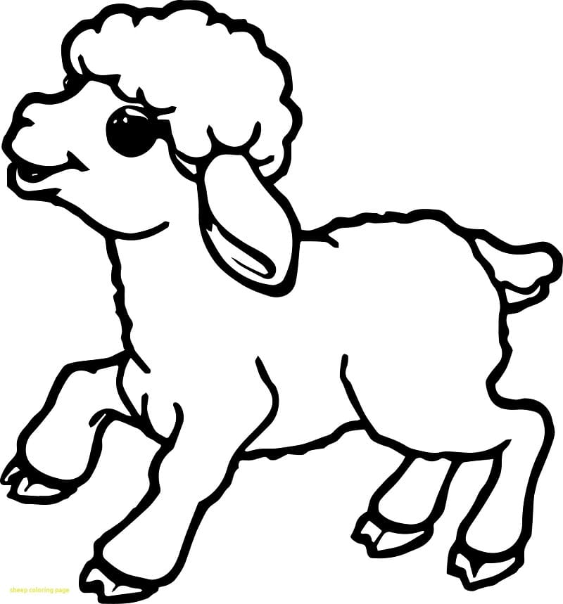 Disegni di Agnello da colorare - Disegni-Colorare.Com