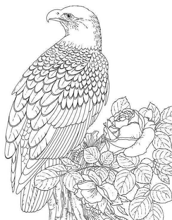 Aquila con Rose e Foglie da colorare. Scarica, stampa o colora subito ...