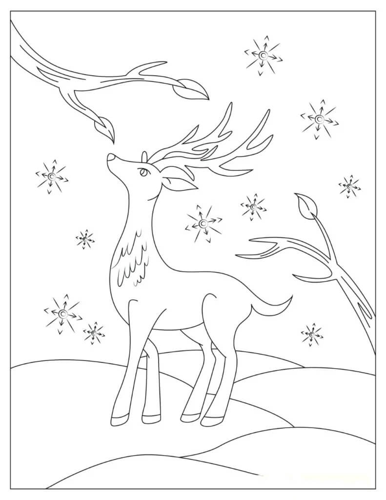 Disegni di Renna da colorare - Disegni-Colorare.Com