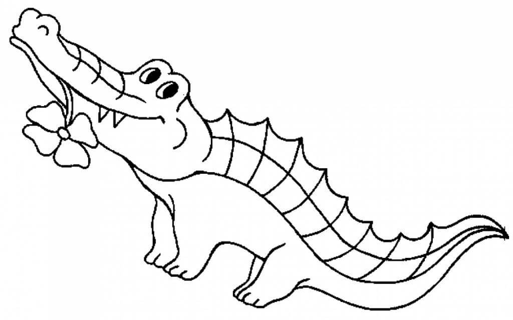 Disegni di Coccodrillo da colorare - Disegni-Colorare.Com