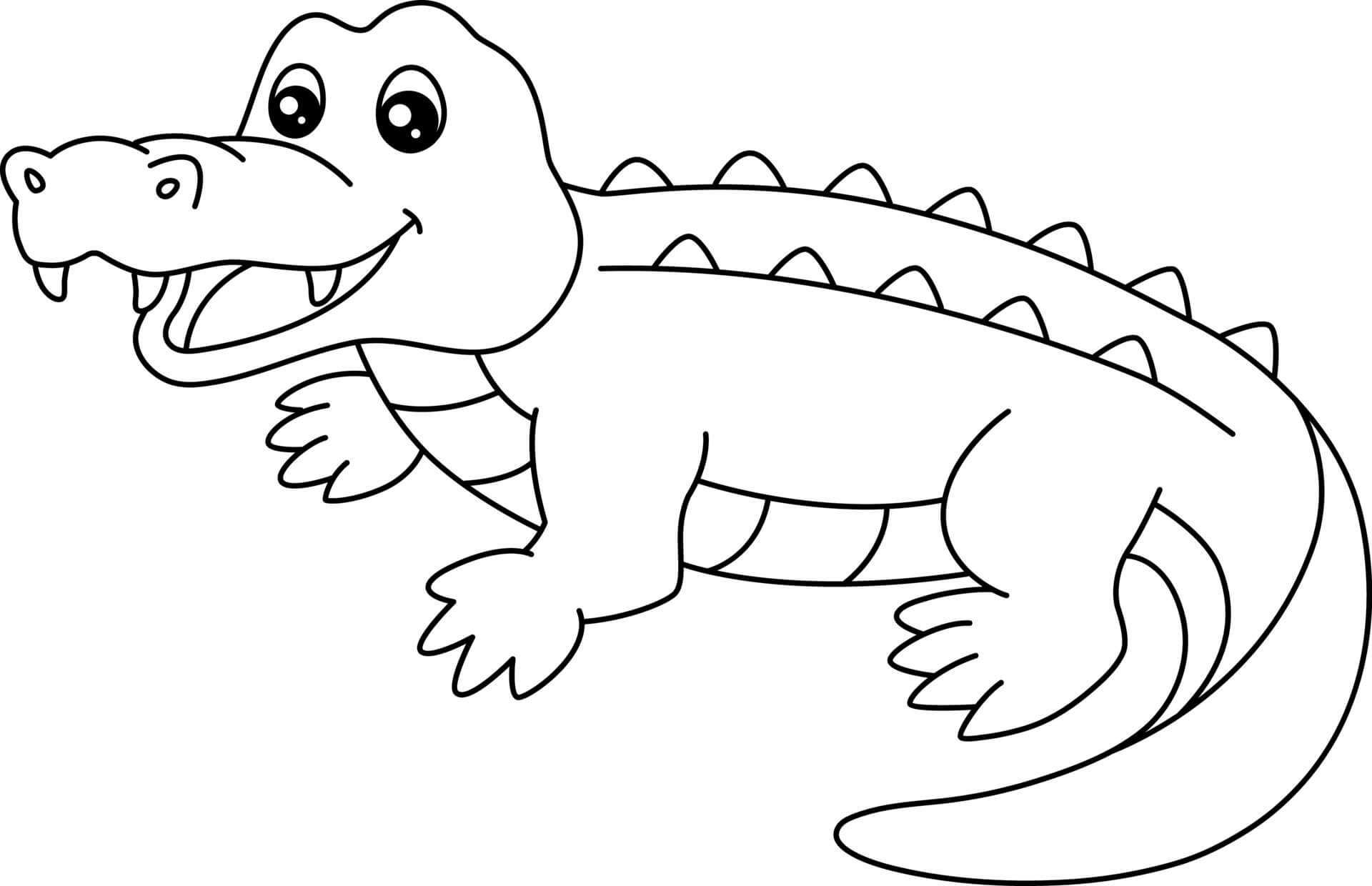 Disegni di Coccodrillo da colorare - Disegni-Colorare.Com