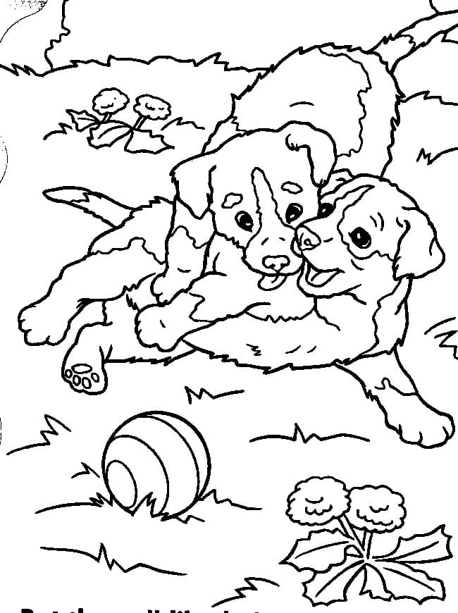 Disegni di Cagnolini da colorare - Disegni-Colorare.Com