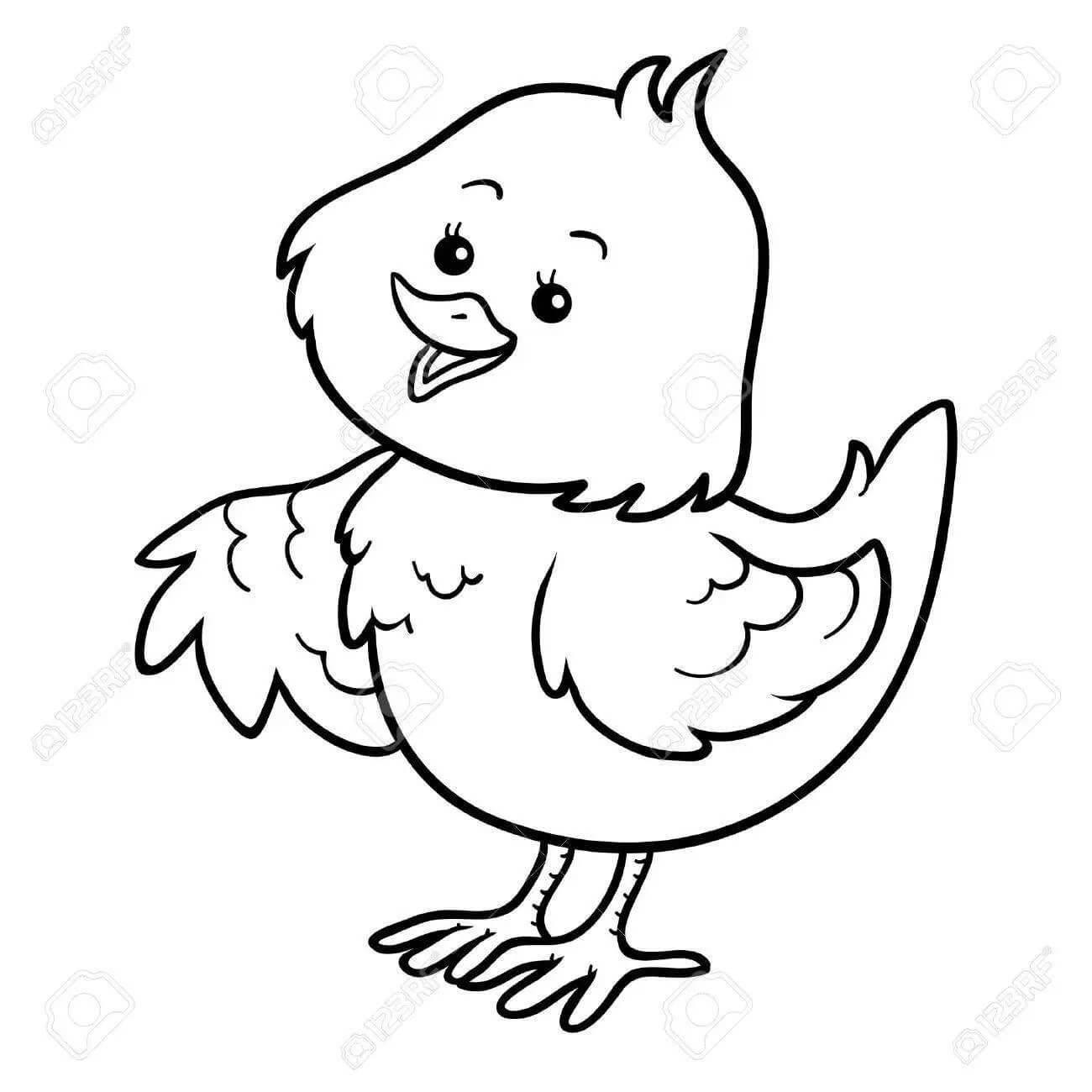 Disegni di Pulcino da colorare - Disegni-Colorare.Com