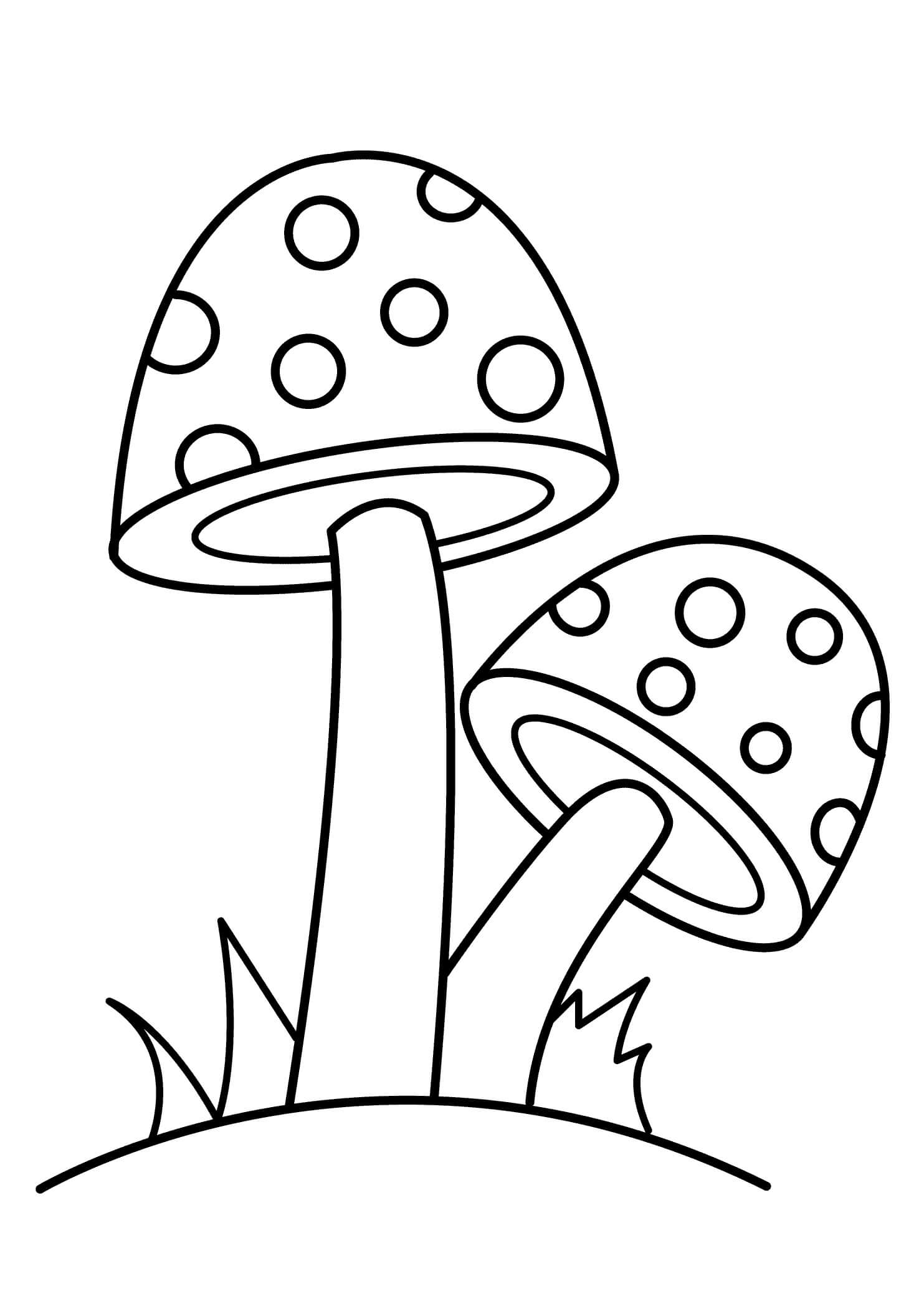 Disegni di Funghi da colorare - Disegni-Colorare.Com