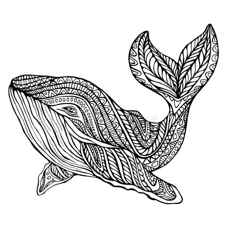 Disegni di Balene da colorare - Disegni-Colorare.Com