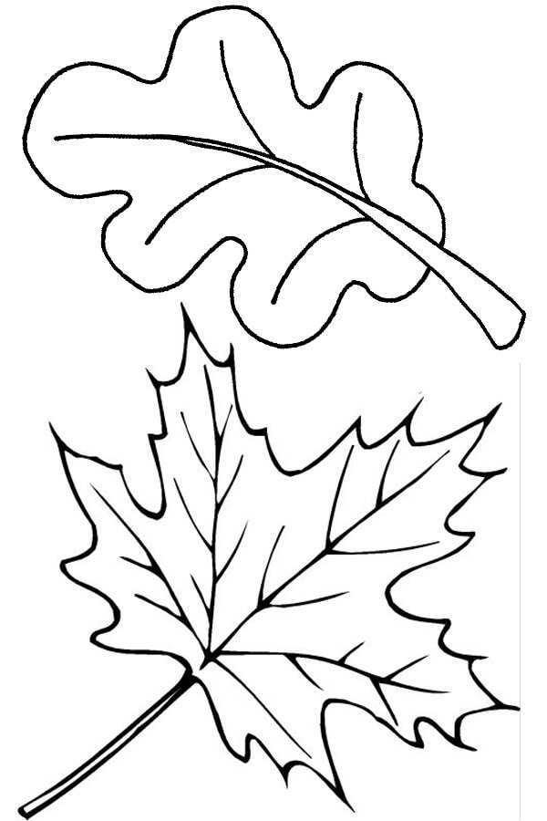 Foglie d'autunno 7 da colorare. Scarica, stampa o colora subito online! Foglie d'autunno 7 da colorare. Scarica, stampa o colora subito online!