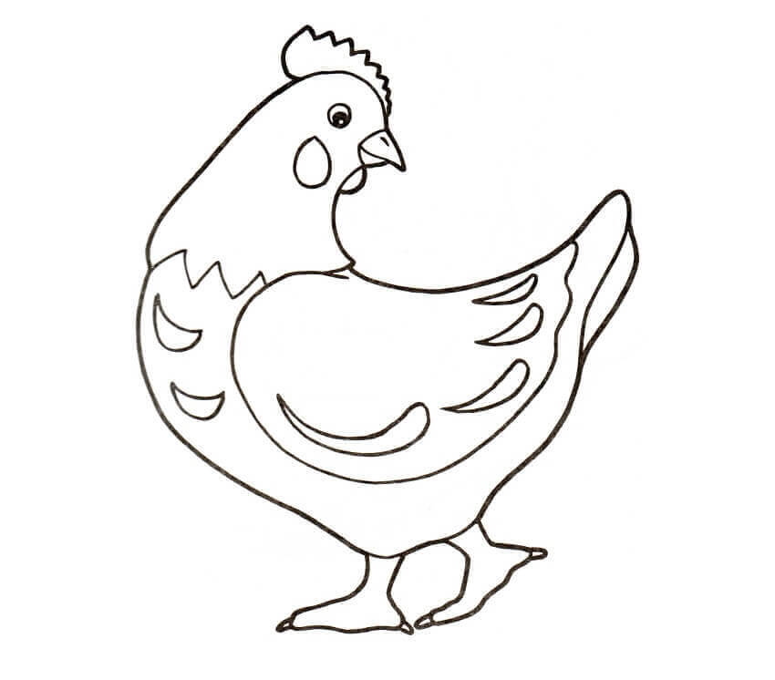 Gallina domestica da colorare. Scarica, stampa o colora subito online!