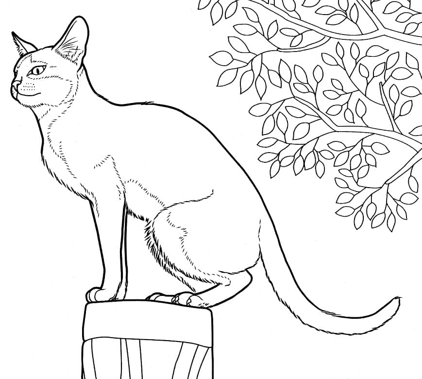 Disegni di Gatti da colorare - Disegni-Colorare.Com