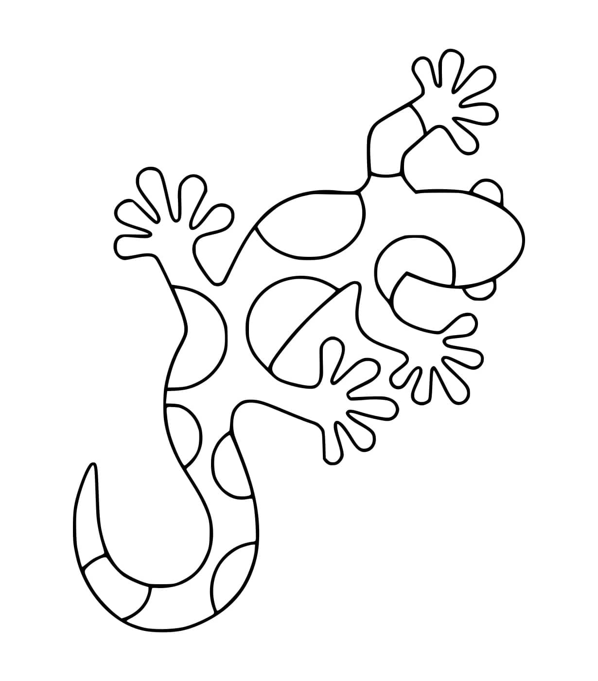 Geco semplice gratuito da colorare. Scarica, stampa o colora subito online!