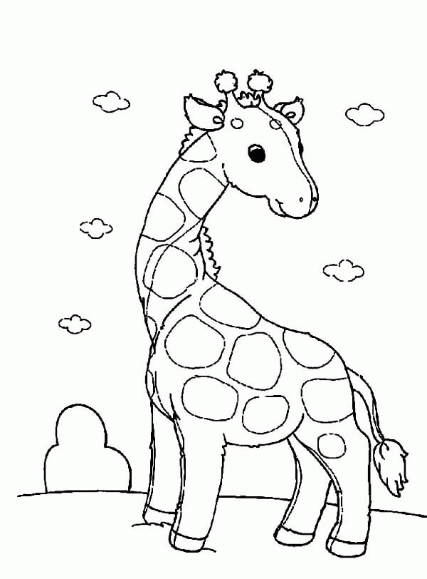 Disegni di Giraffa da colorare - Disegni-Colorare.Com