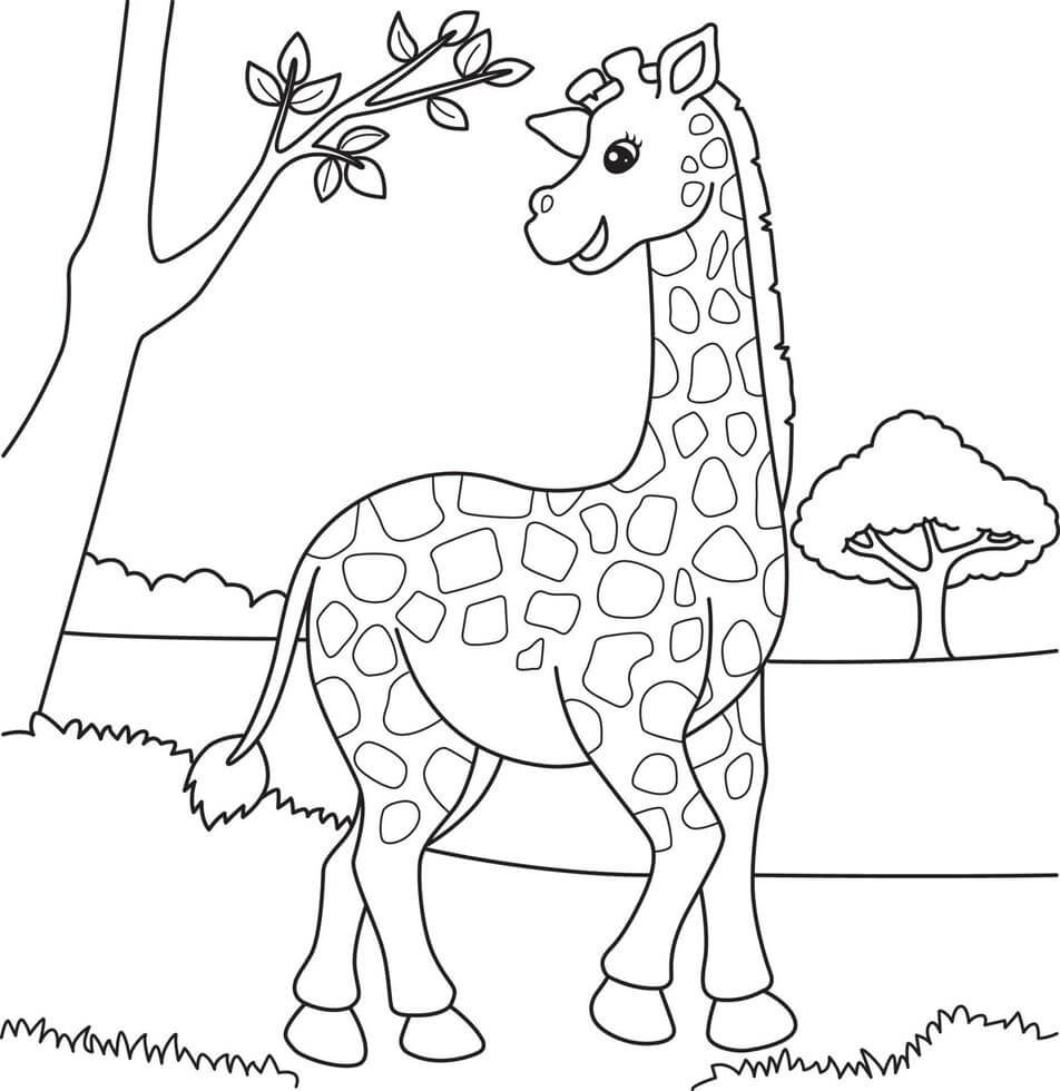 Immagini Gratis Giraffa da colorare. Scarica, stampa o colora subito ...