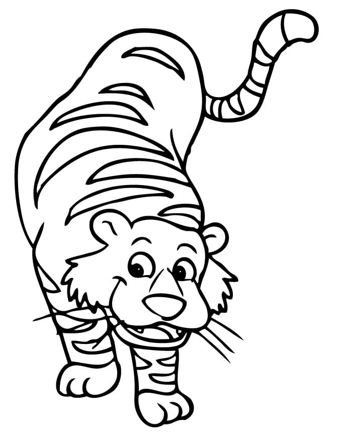 Disegni di Tigre da colorare - Disegni-Colorare.Com