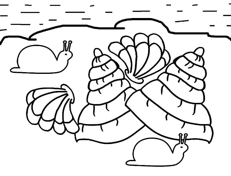 Disegni di Lumaca da colorare - Disegni-Colorare.Com