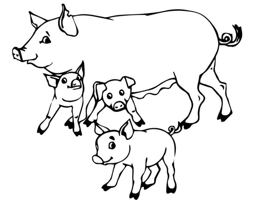 Disegni di Maiale da colorare - Disegni-Colorare.Com