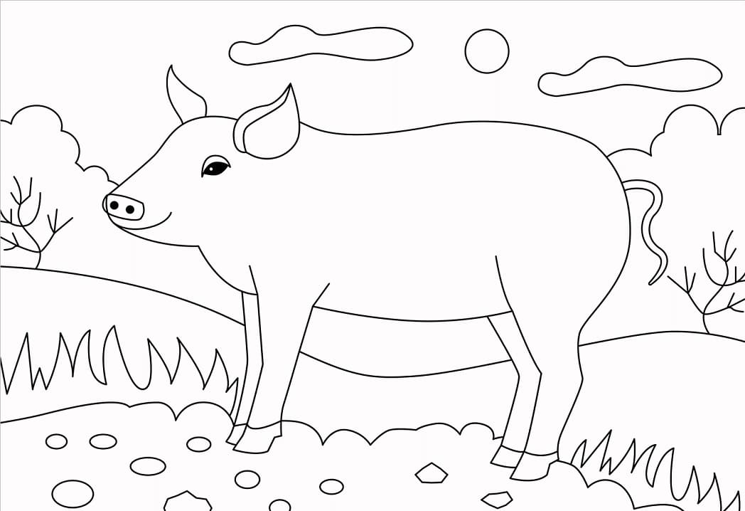 Disegni di Maiale da colorare - Disegni-Colorare.Com