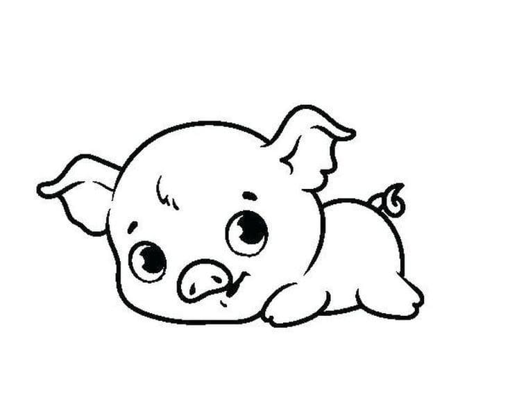 Disegni di Maiale da colorare - Disegni-Colorare.Com