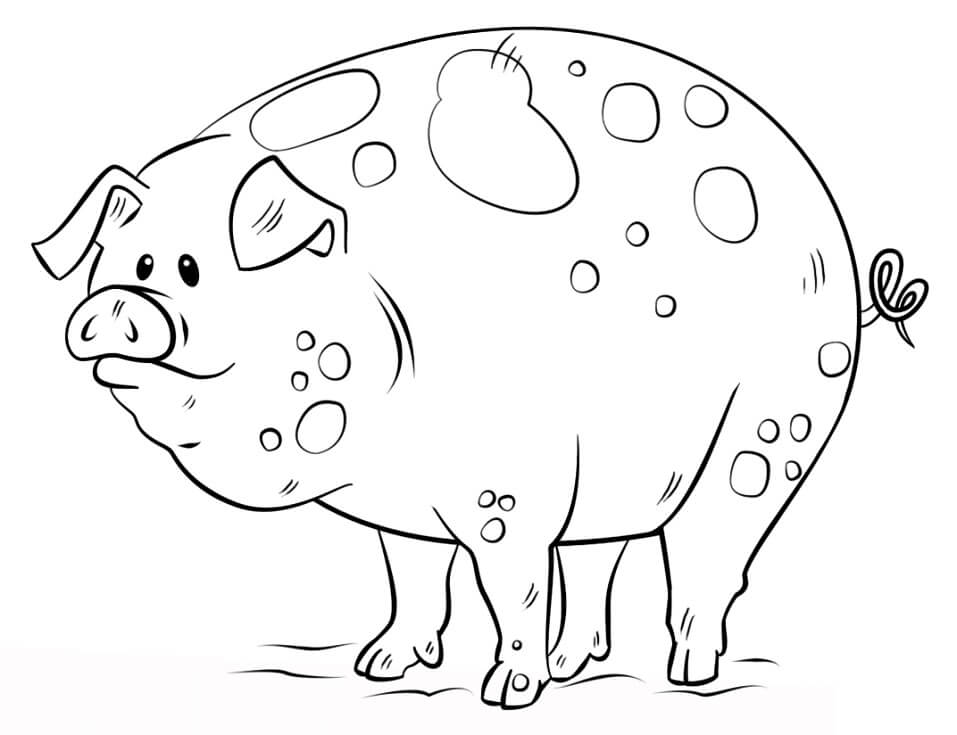 Disegni di Maiale da colorare - Disegni-Colorare.Com