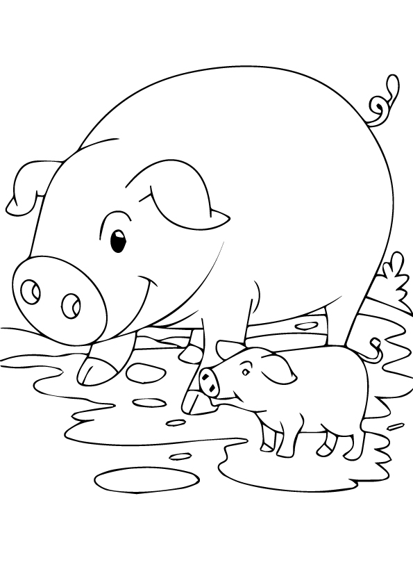Disegni di Maiale da colorare - Disegni-Colorare.Com