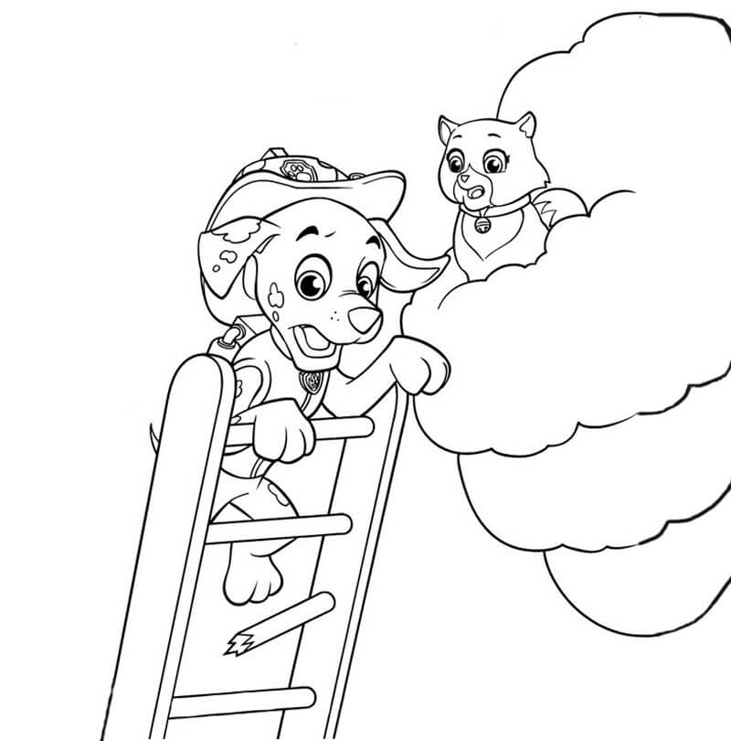 Marshall Paw Patrol 4 da colorare. Scarica, stampa o colora subito online!