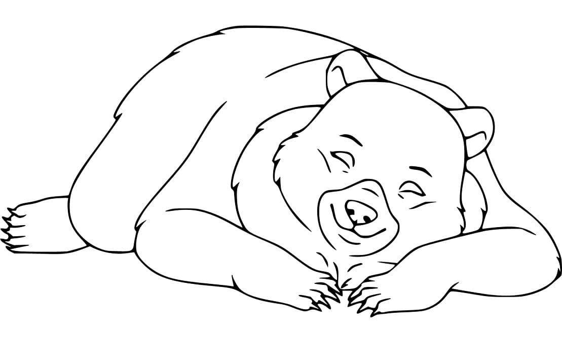 Oso Dormir Orso Dormi Slapen Beer Kleurplaat Educima Sketch Coloring Page