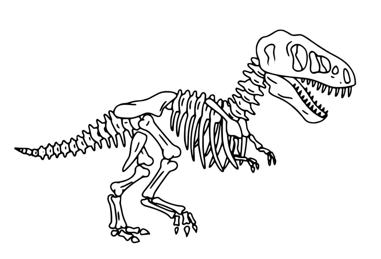 Scheletro T-Rex da colorare. Scarica, stampa o colora subito online! Scheletro T-Rex da colorare. Scarica, stampa o colora subito online!