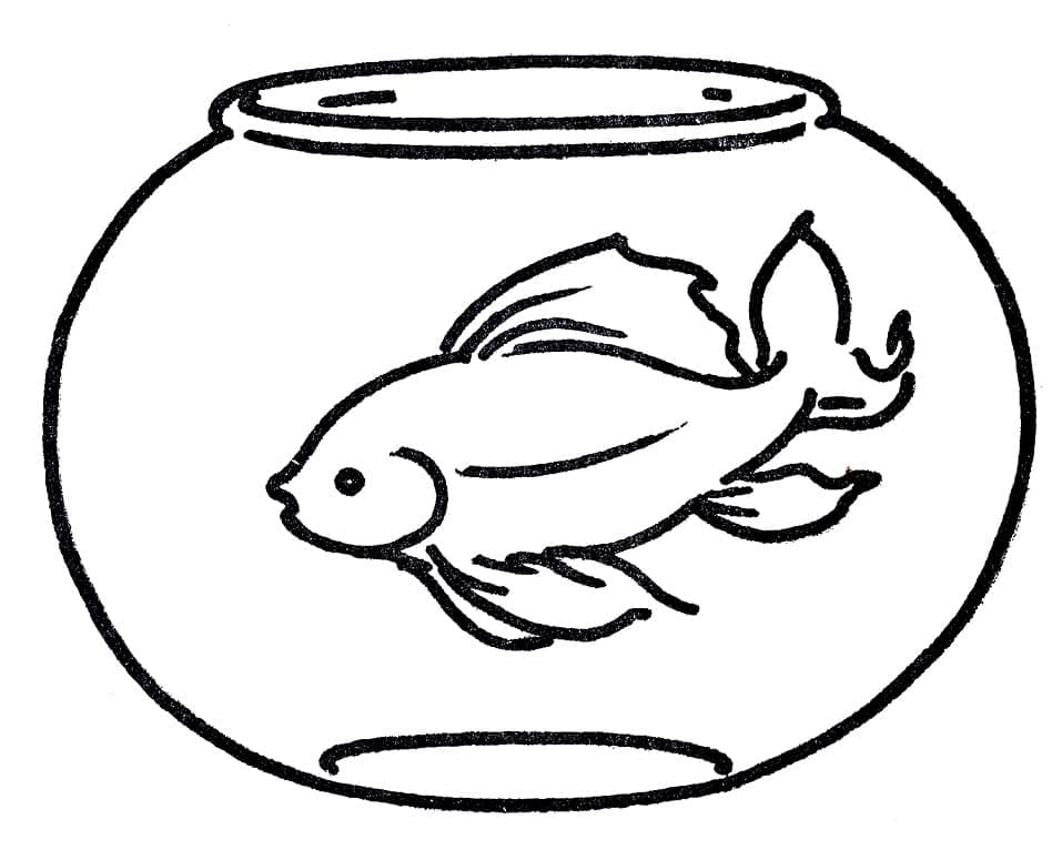 Pagina da colorare di Ciotola di pesce facile da colorare. Scarica ... Pagina da colorare di Ciotola di pesce facile da colorare. Scarica ...