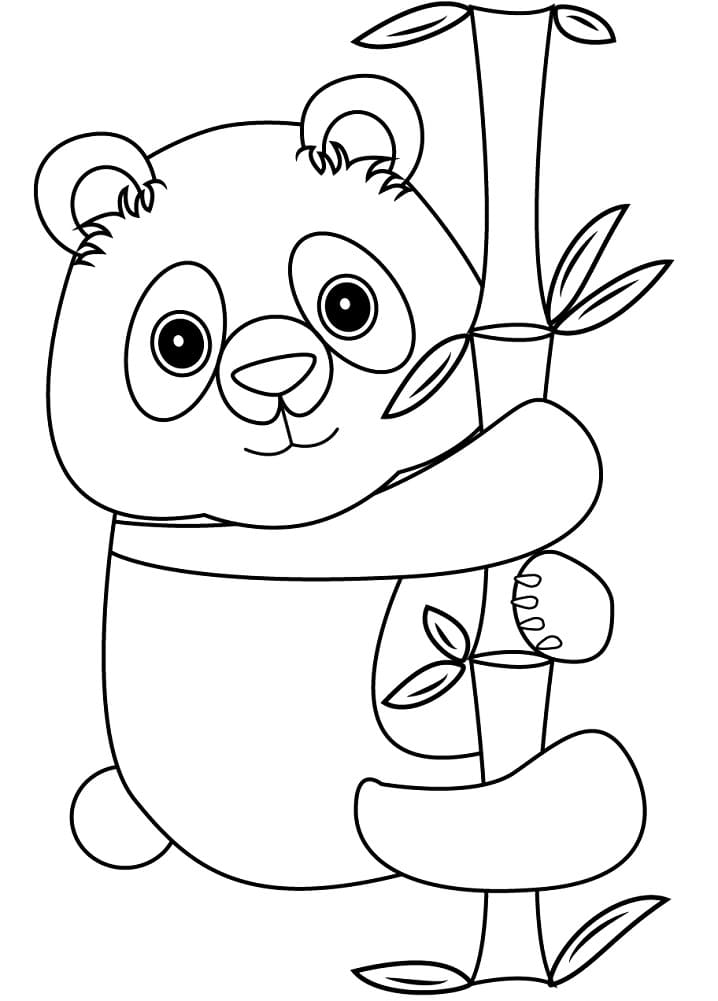 Disegni di Panda da colorare - Disegni-Colorare.Com