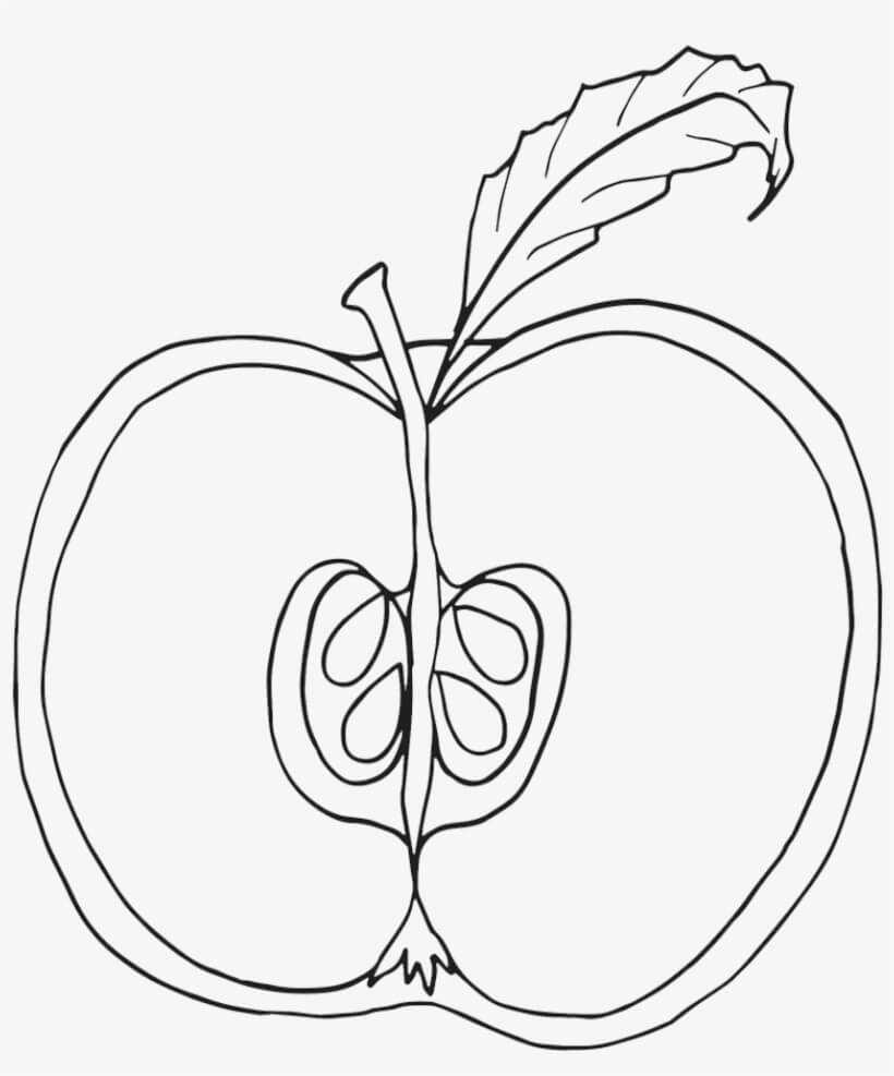 Disegni di Mela da colorare - Disegni-Colorare.Com