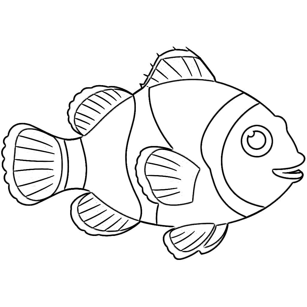 Disegni di Pesce Pagliaccio da colorare - Disegni-Colorare.Com