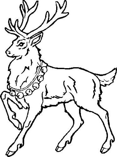 Disegno della Renna da colorare. Scarica, stampa o colora subito online!