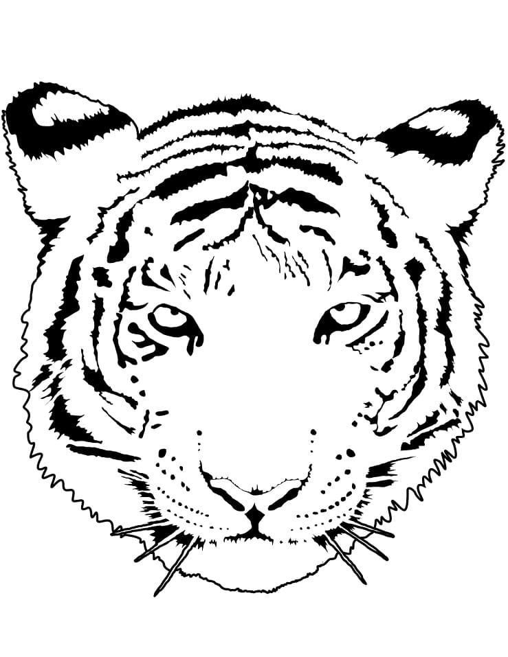 Disegni di Tigre da colorare - Disegni-Colorare.Com