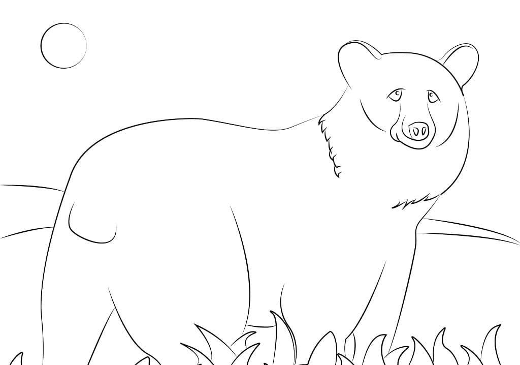 Disegni di Orsi da colorare - Disegni-Colorare.Com