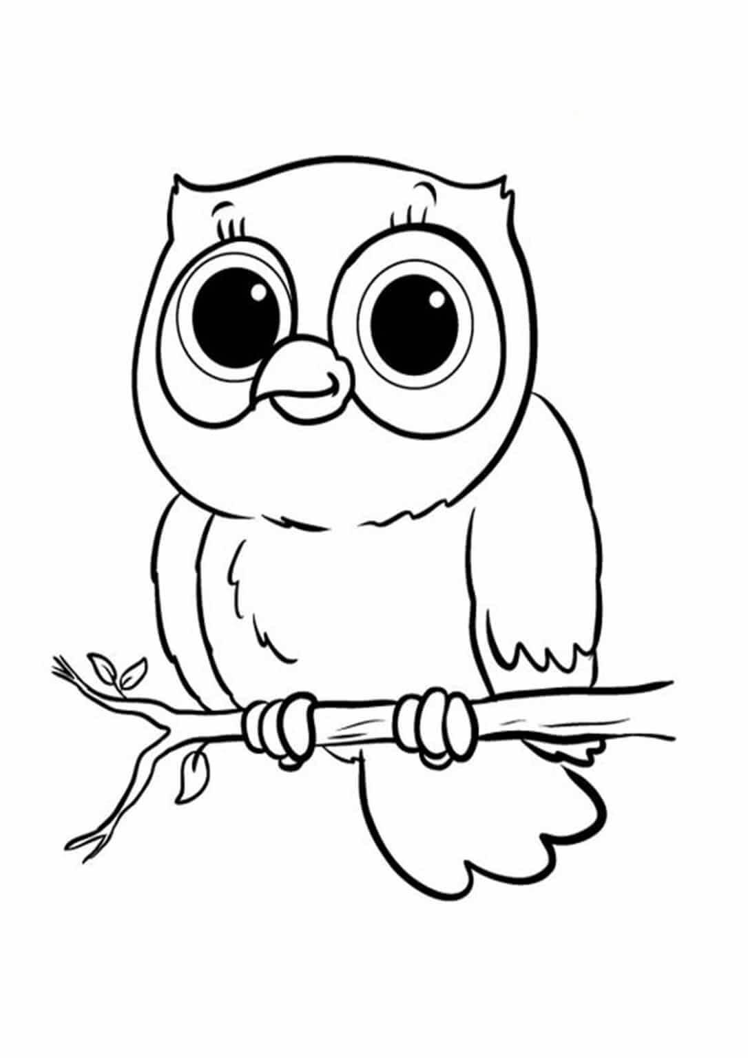 Disegni di Gufi (Civette) da colorare - Disegni-Colorare.Com