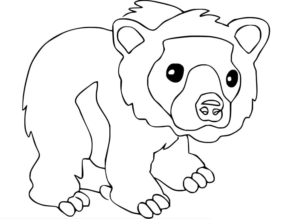 Disegni di Orsi da colorare - Disegni-Colorare.Com