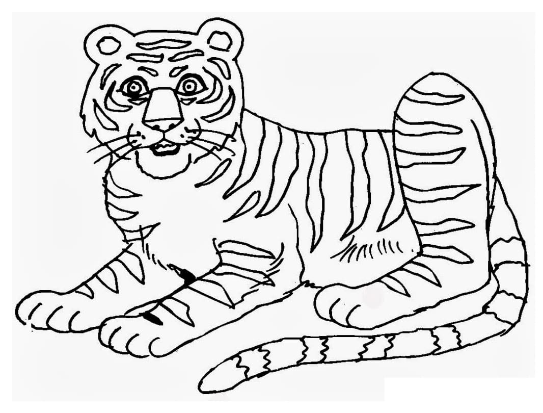 Disegni di Tigre da colorare - Disegni-Colorare.Com