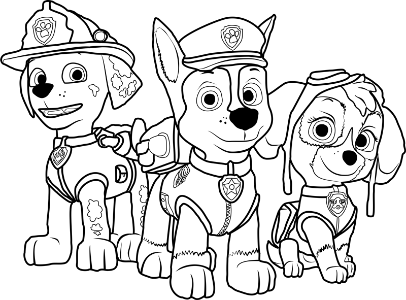 Tre personaggi di PAW Patrol da colorare. Scarica, stampa o colora ...