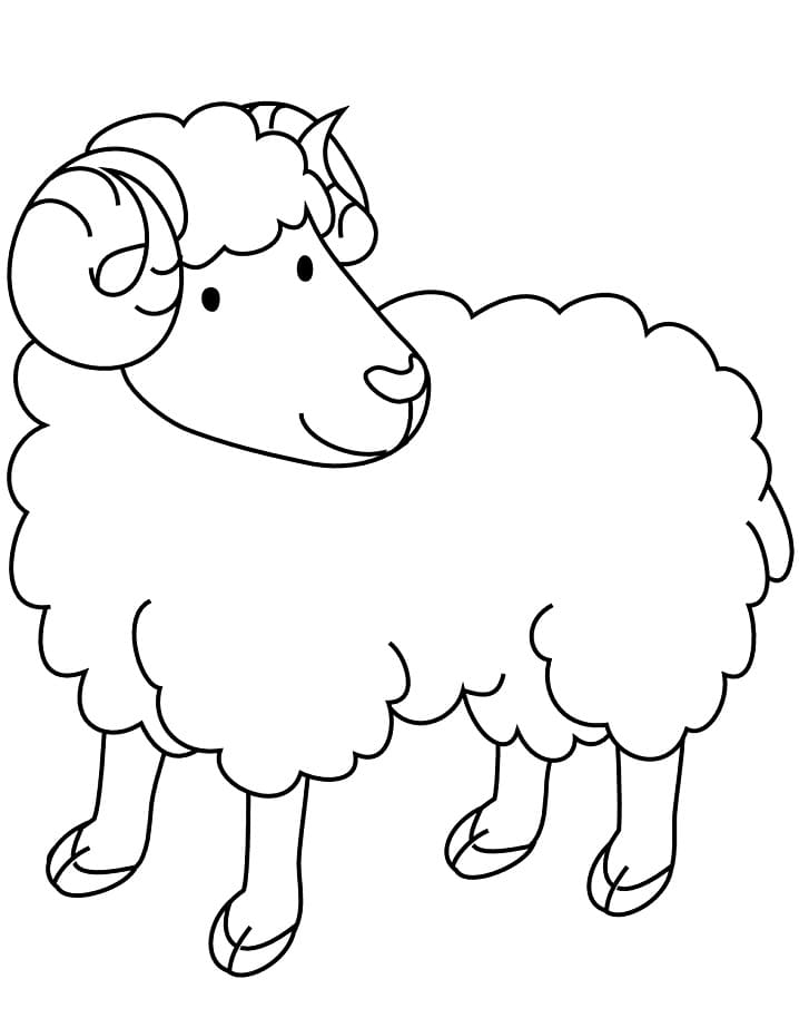 Disegni di Simpatico Animale da colorare - Disegni-Colorare.Com