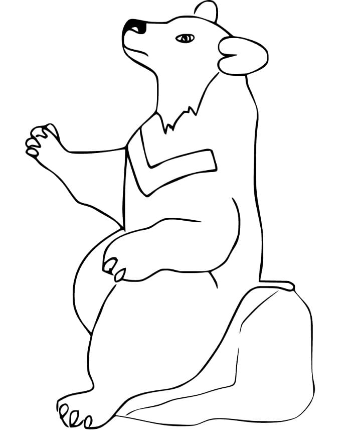 Disegni di Orsi da colorare - Disegni-Colorare.Com