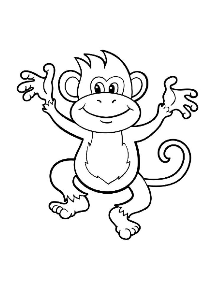 Una scimmia da colorare. Scarica, stampa o colora subito online!
