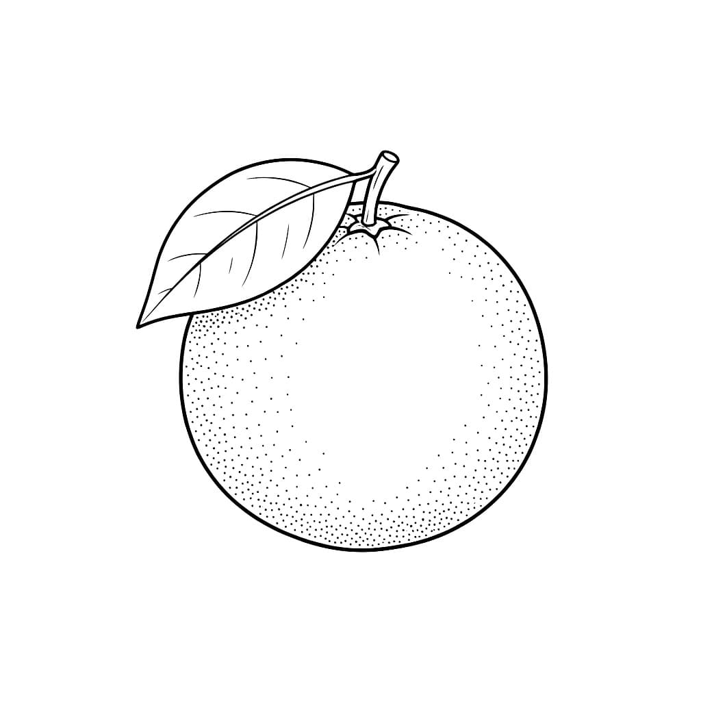 Disegni di Arancia da colorare - Disegni-Colorare.Com