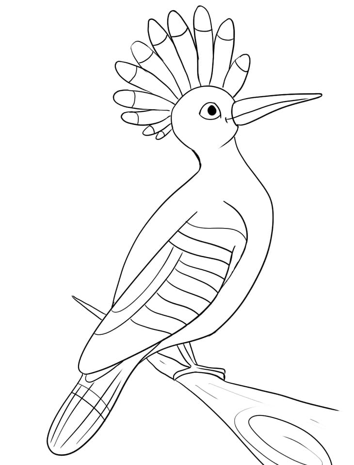 Disegni di Simpatico Animale da colorare - Disegni-Colorare.Com